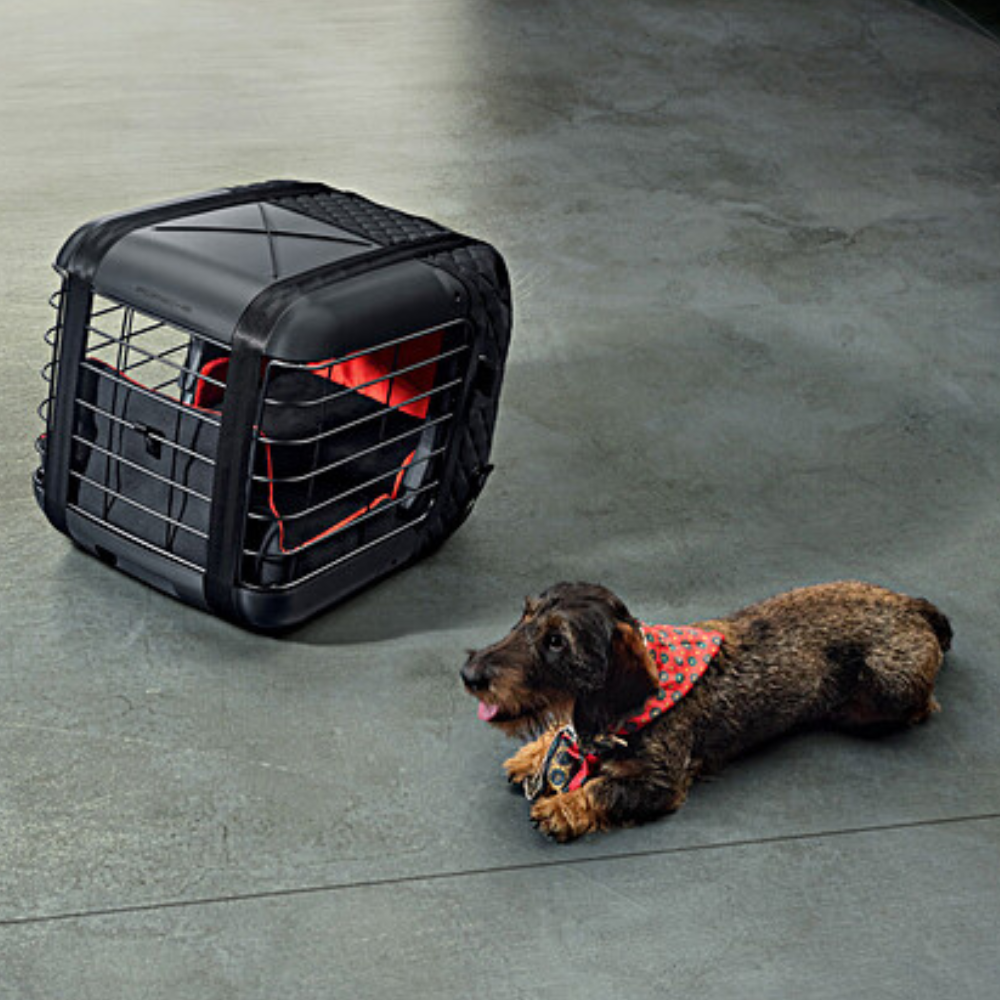Dog Transport Box - Tot 8kg | Sierra Madre Collection | Porsche Parts ...