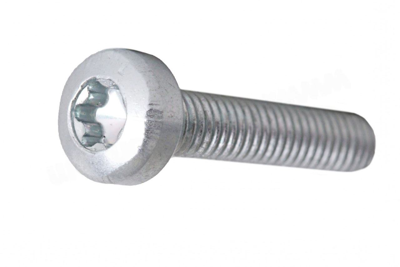 Porsche Fillister Head Bolt M3x14 - Cayenne/Cayman 11-16 999-141-043-02 ...