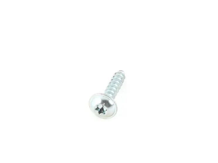 Porsche Oval Head Panel Screw - Cayenne/Taycan 03-23 955-533-691-00 ...