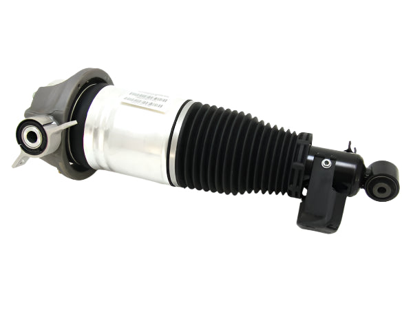 Porsche Shock Absorber - Rear Right - Cayenne | 2008-2010 955-358-020-